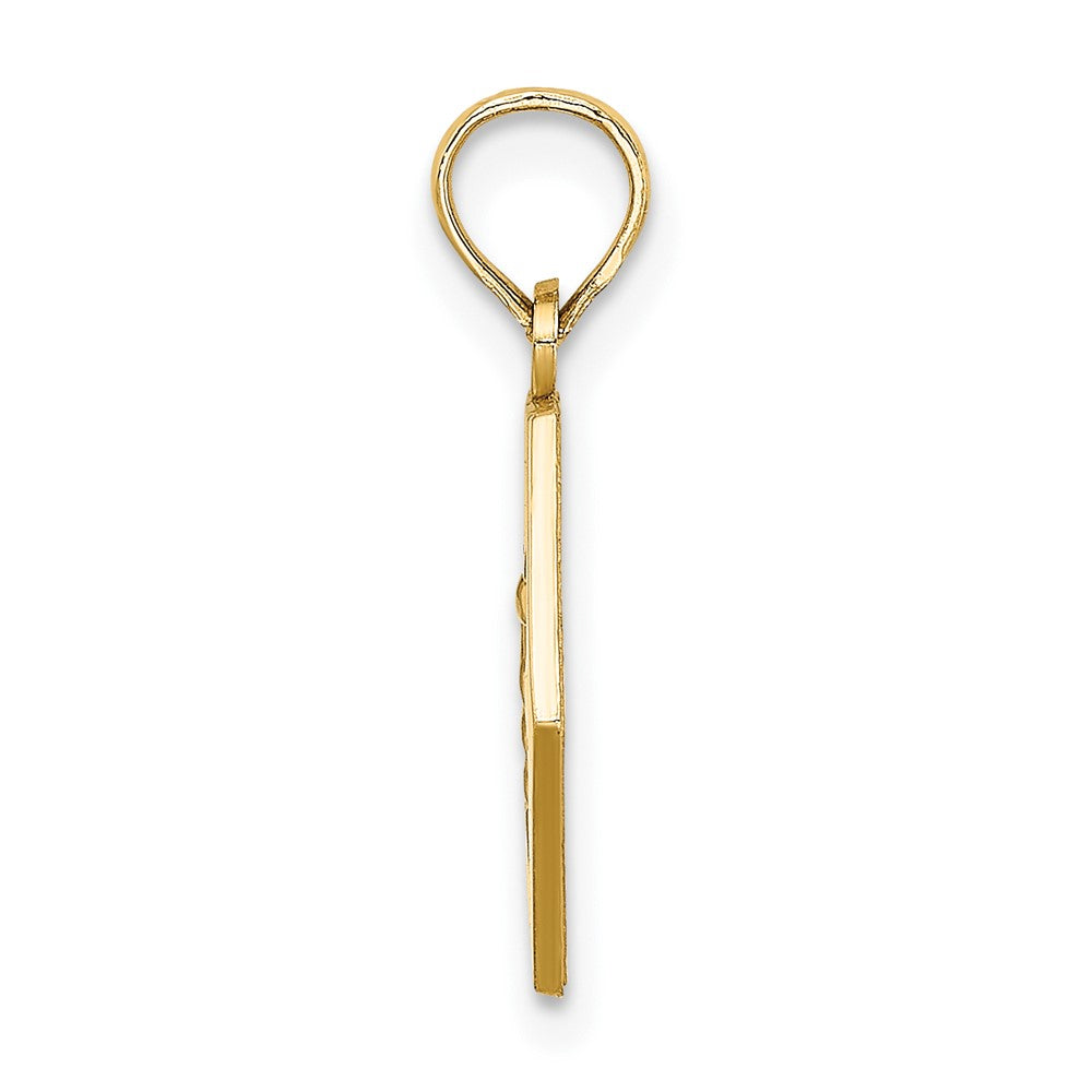 10k Yellow Gold Medical Disc Pendant – TreasureFineJeweler